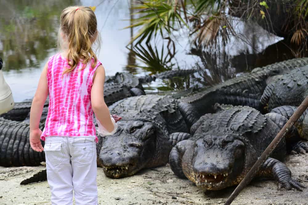 A Miraculous Escape: 10-Year-Old Girl Pries Open The Clenched Jaws of ...