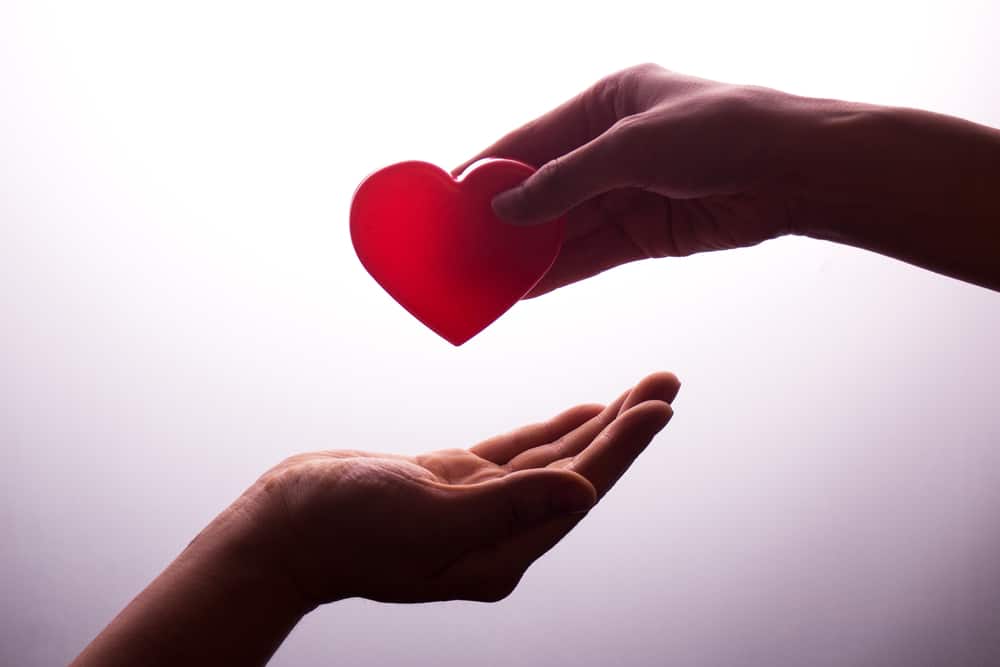 There Is Now A Scientifically-Proven Link Between Generosity And ...