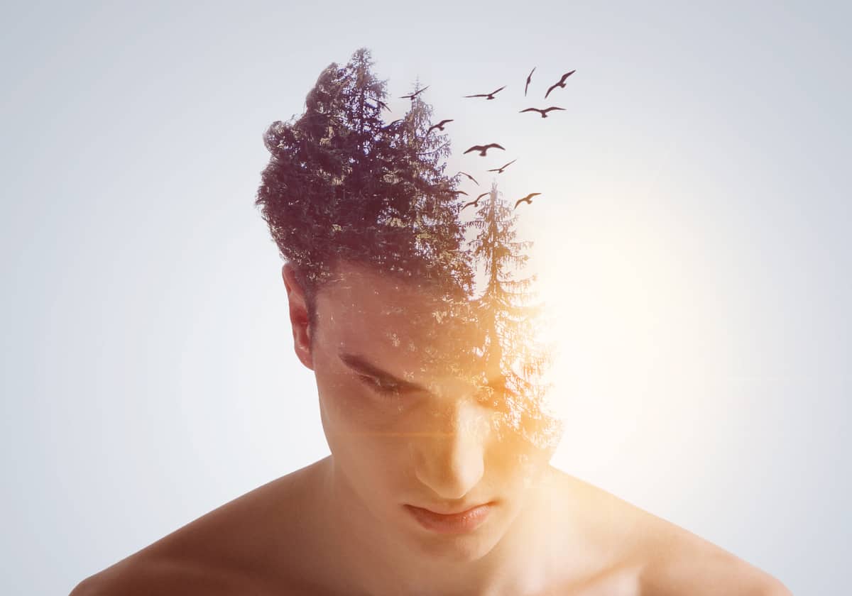 Mind Pollution | Christian Learning & News