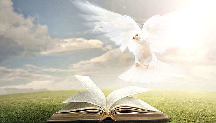 Functions of the Holy Spirit Archives | Christian Learning & News