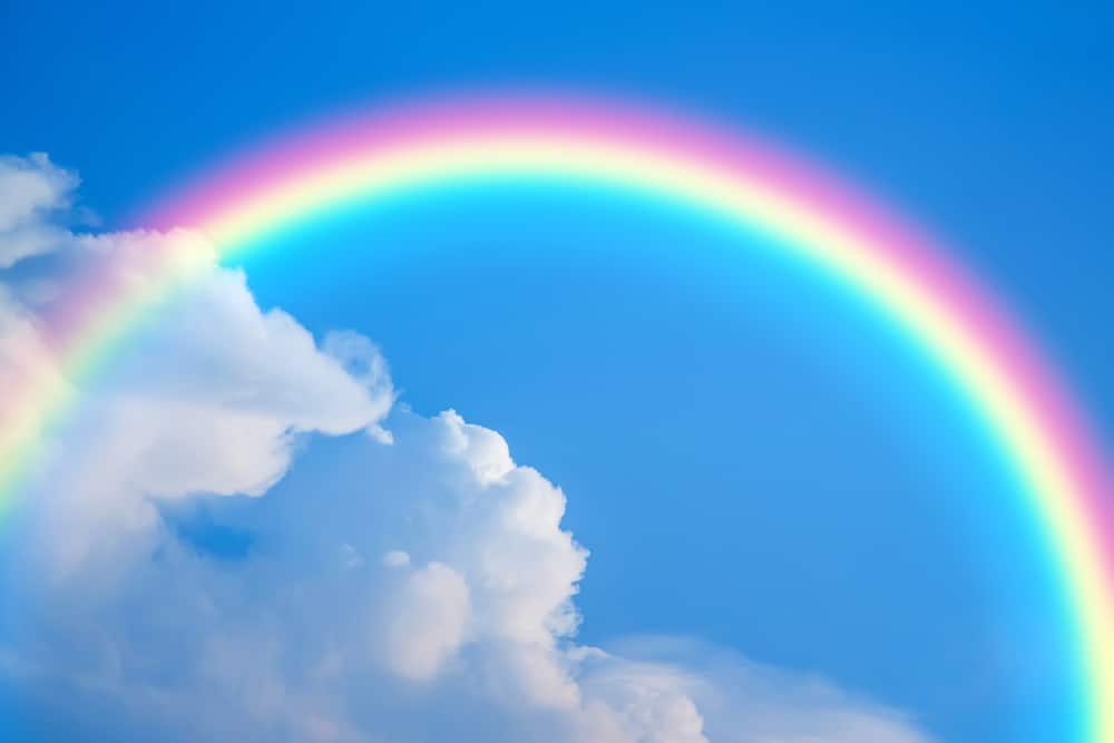 Diversity in the Rainbow | Christian Learning & News