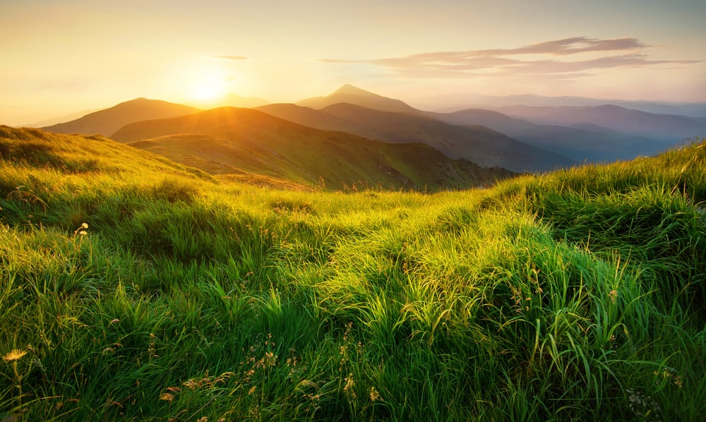 The Transforming Power Of Beauty | Christian Learning & News