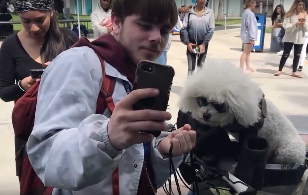 Ray Comfort Introduces The Dog Who Has Helped To Reach Millions For ...