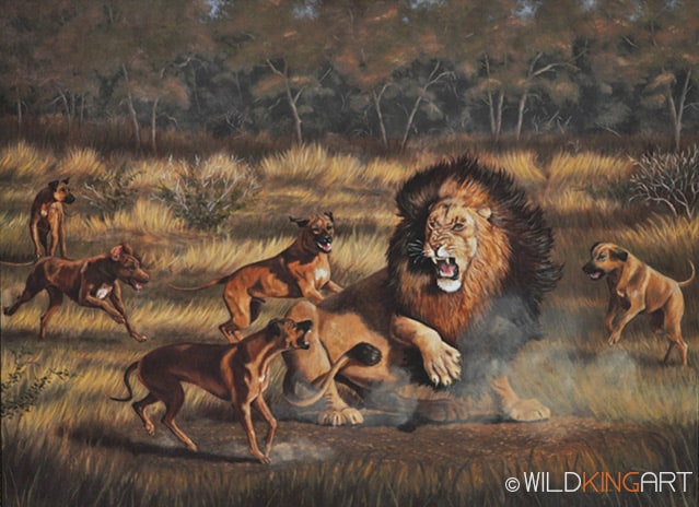 New Wildlife Series Shows God In His Marvelous Creation | Christian ...