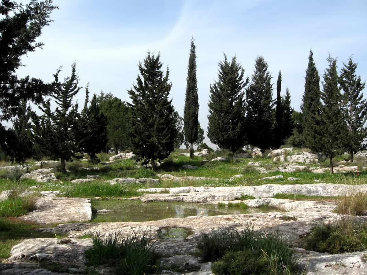 Shoham: A Thriving Young Town of Israel | Christian Learning & News