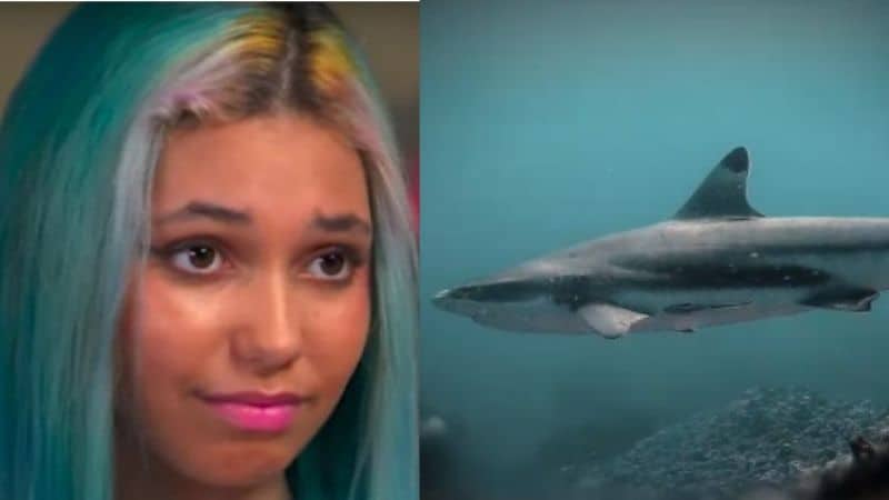 Teen Prays And Miraculously Survives Shark Attack | Christian Learning ...