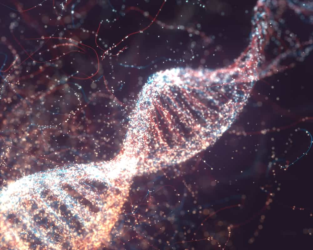 We Have God's DNA | Christian Learning & News
