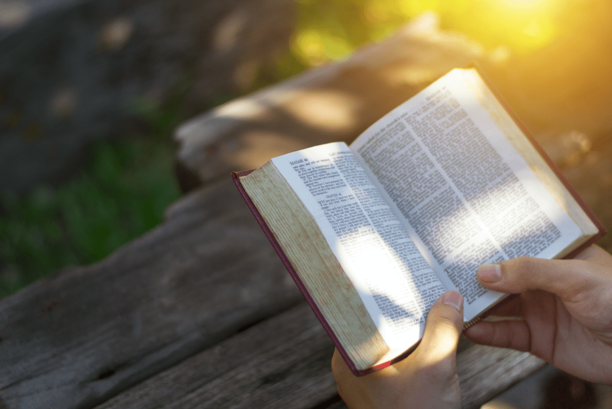 Lessons From The Beatitudes: Meekness | Christian Learning & News