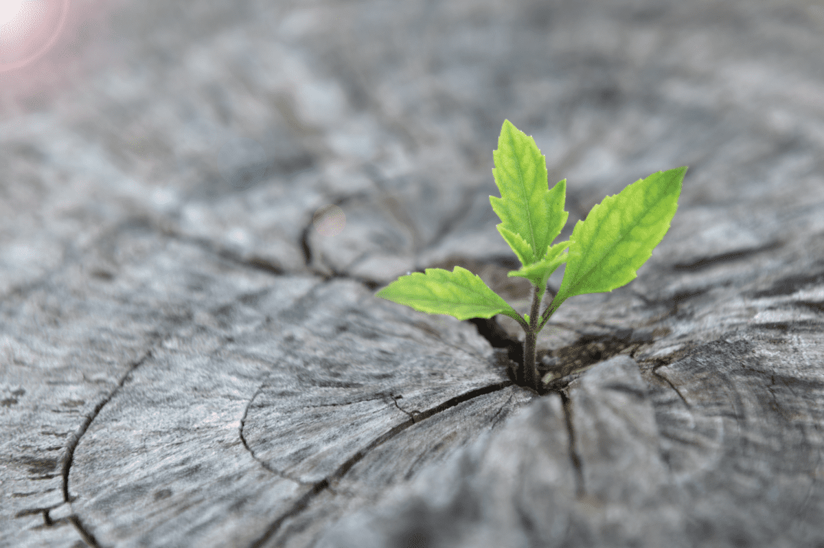 “God Is Good, God Is Great”—What Does This Really Mean? | Christian ...