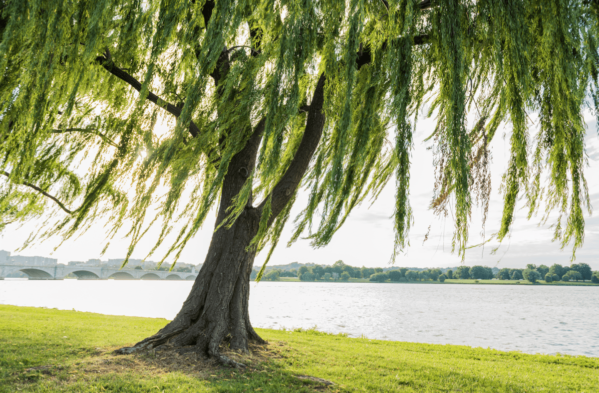 Finding The Secret Place Where You Meet With God | Christian Learning ...