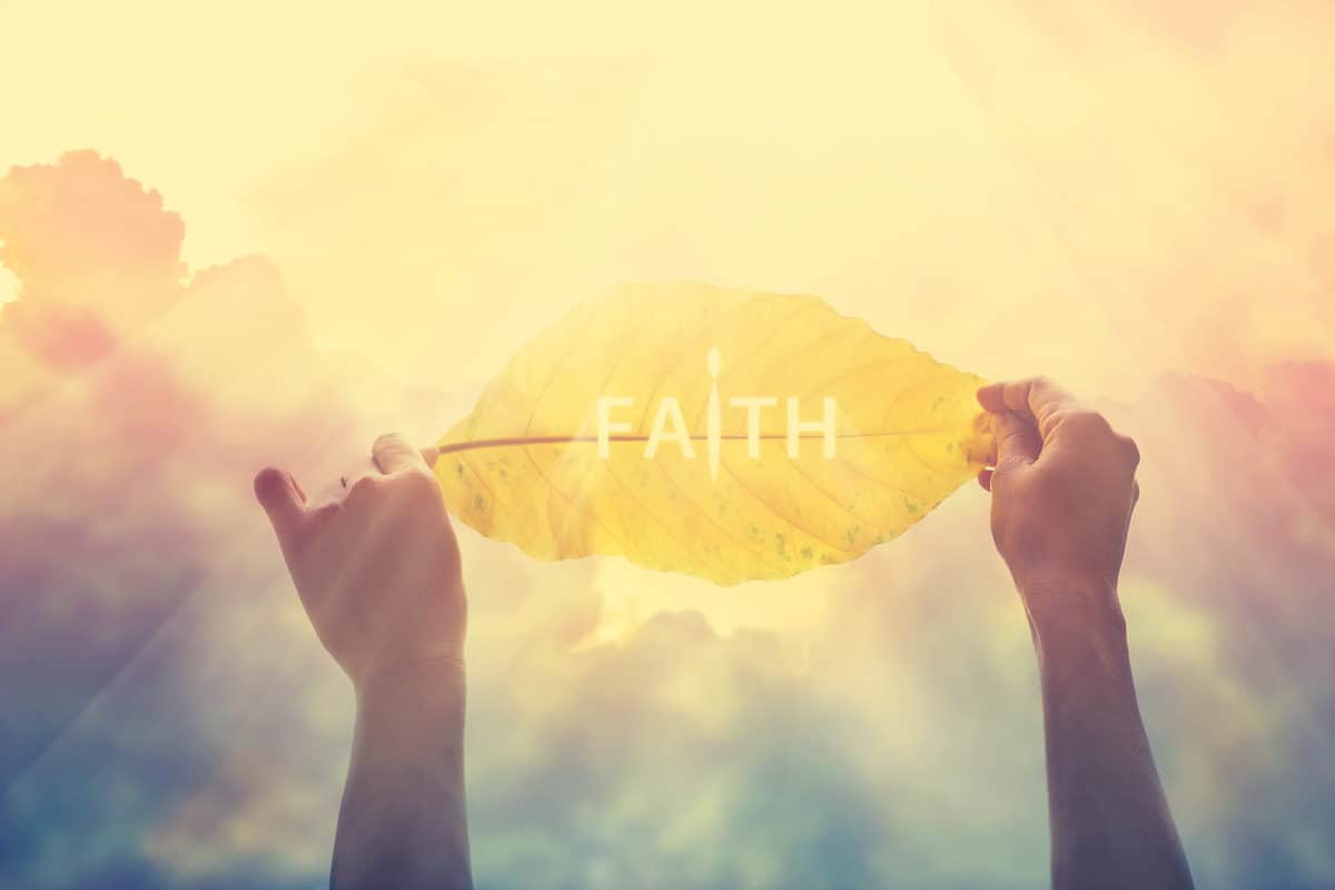 The Just Shall Live By Faith | Christian Learning & News