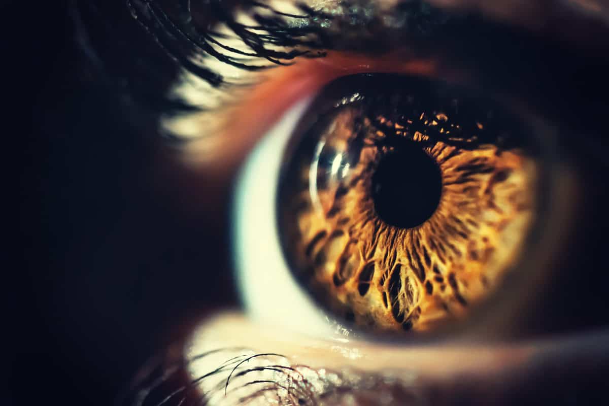 What Do You Really See? Changing Your Perception | Christian Learning ...