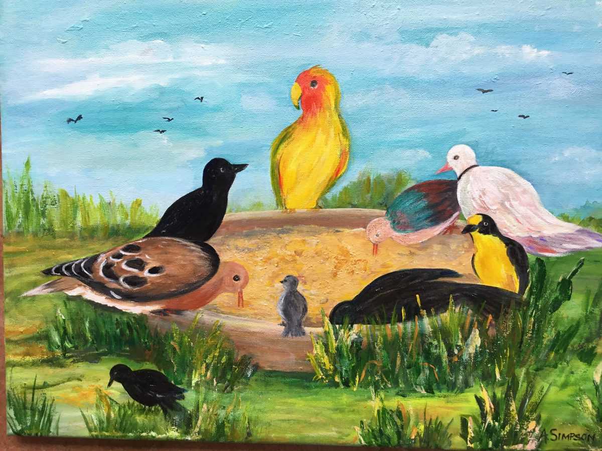 Natural Revelation: What a Group of Birds Reminded Me About Humanity ...