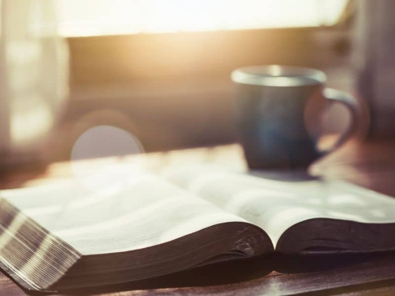 Bible Verse of the Day: Stay in the Word | Christian Learning & News