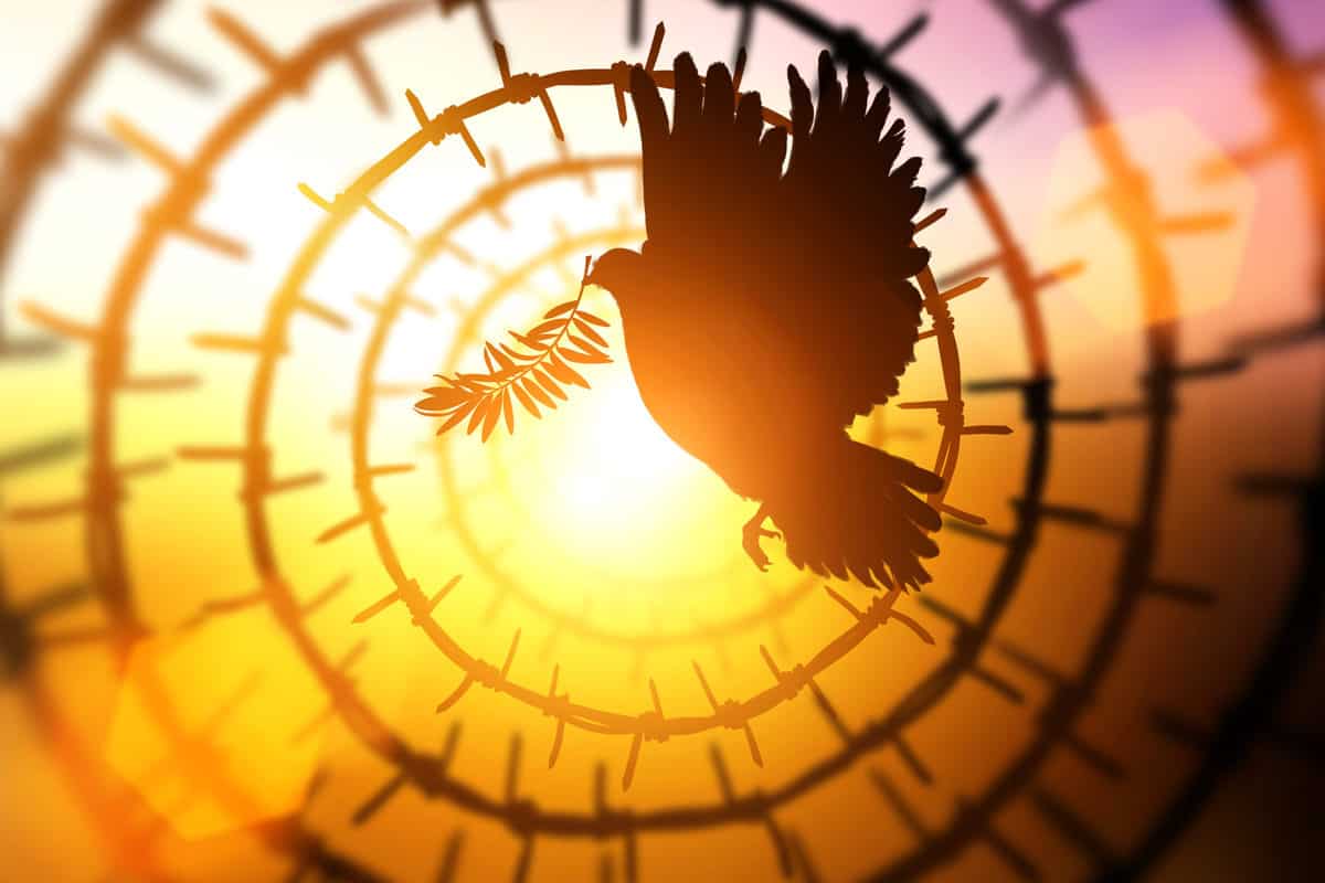 14 Ways We Partner With The Holy Spirit | Christian Learning & News