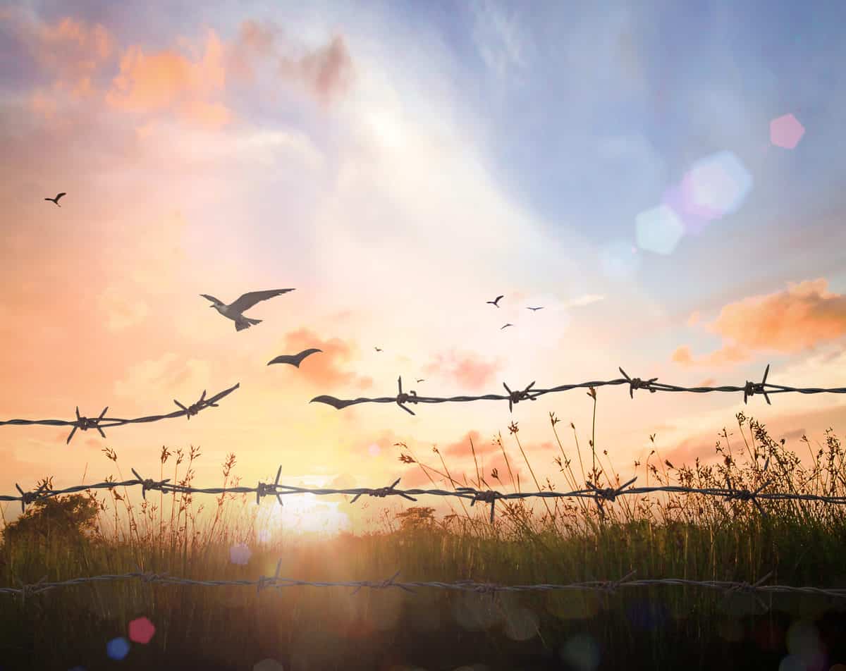 We Need to Stop Preaching Forgiveness Without Responsibility ...