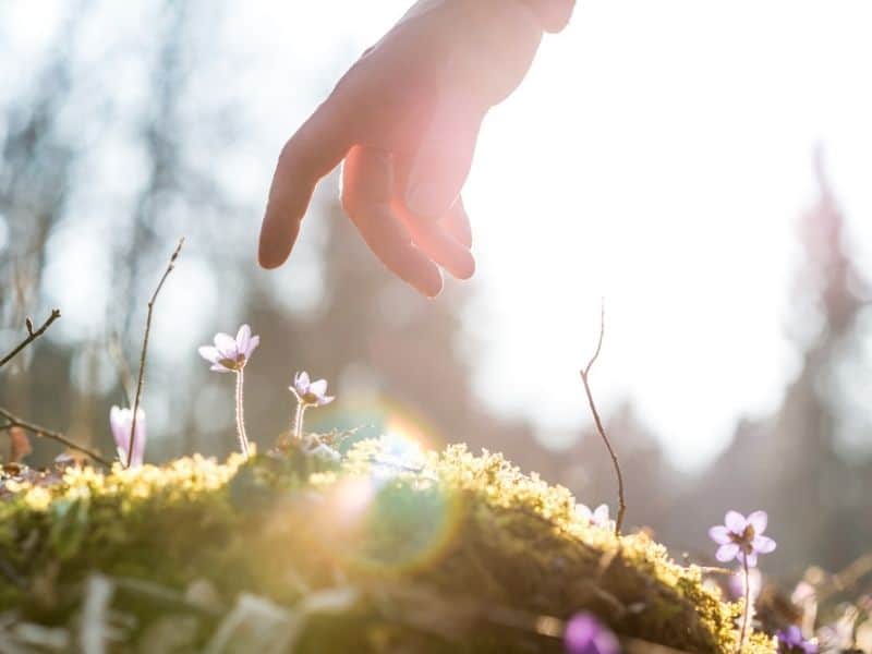 'Holy Sprouts' Offers 'Christian Version of Ms. Rachel,' Educational ...