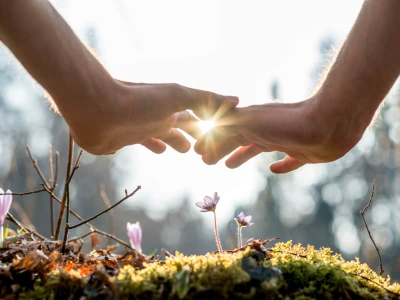 How The Mother Of Timothy In The Bible Helped Him In His Faith ...