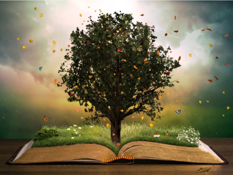 God's Word For You Today: Ask God For Wisdom | Christian Learning & News