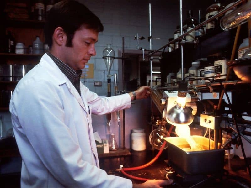 Renowned Jewish Scientist Declares 'The New Testament Is A Jewish Book ...