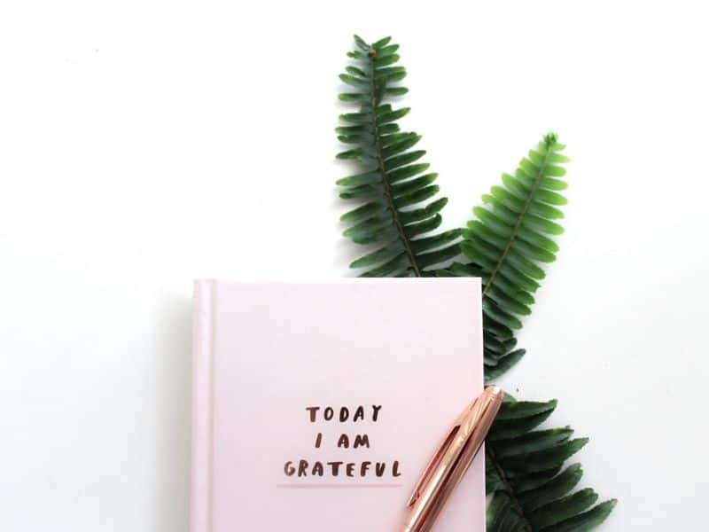 Study The Hebrew Word For Praise, "Todah" | Christian Learning & News