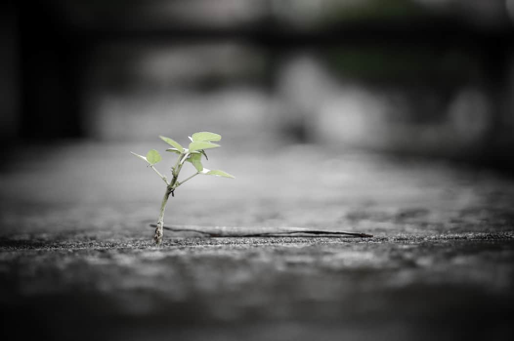 Hope Is Key To Fulfillment Of Promise | Christian Learning & News