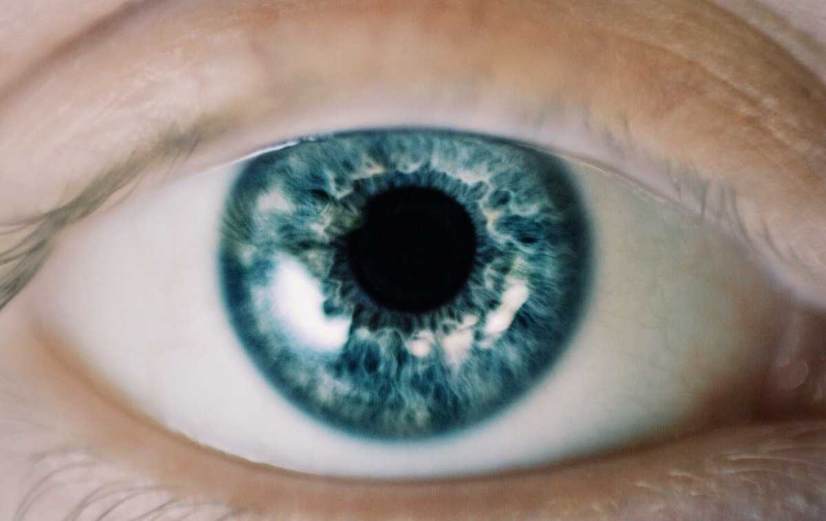 Fire in His Eyes | Christian Learning & News