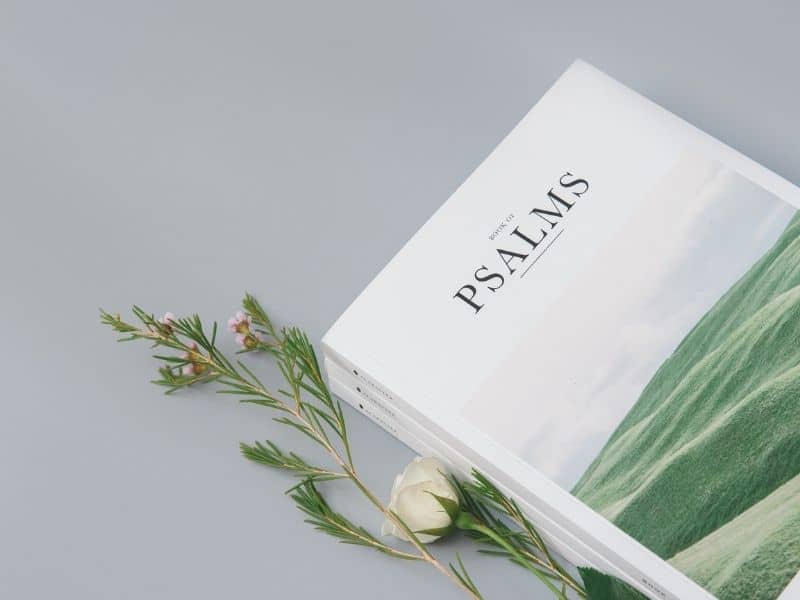 Book Of Psalms David A New Version Of The Psalms Of David : Fitted To