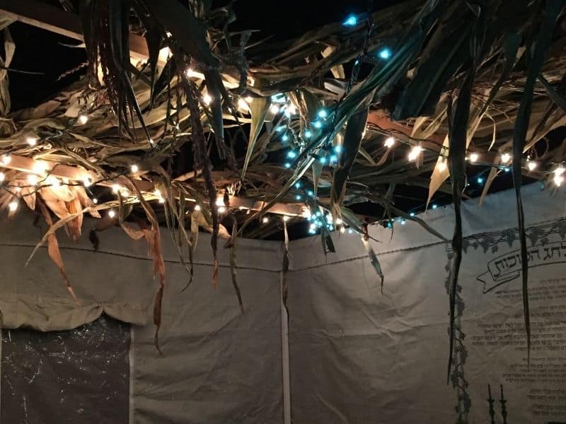 Want To Know About Sukkot, One Of The Three Pilgrimage Festivals ...