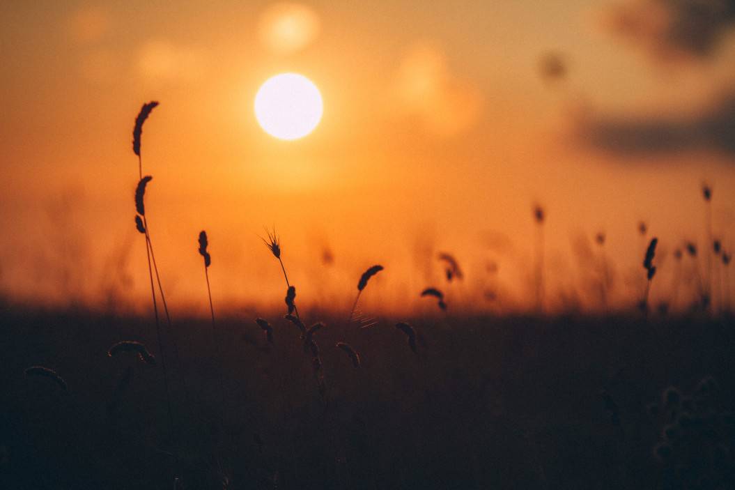 Only Jesus Can Stop The Bleeding | Christian Learning & News