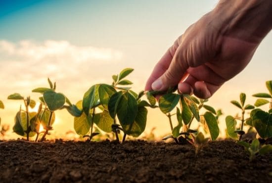 If You Are Not Changing, You Are Not Growing | Christian Learning & News