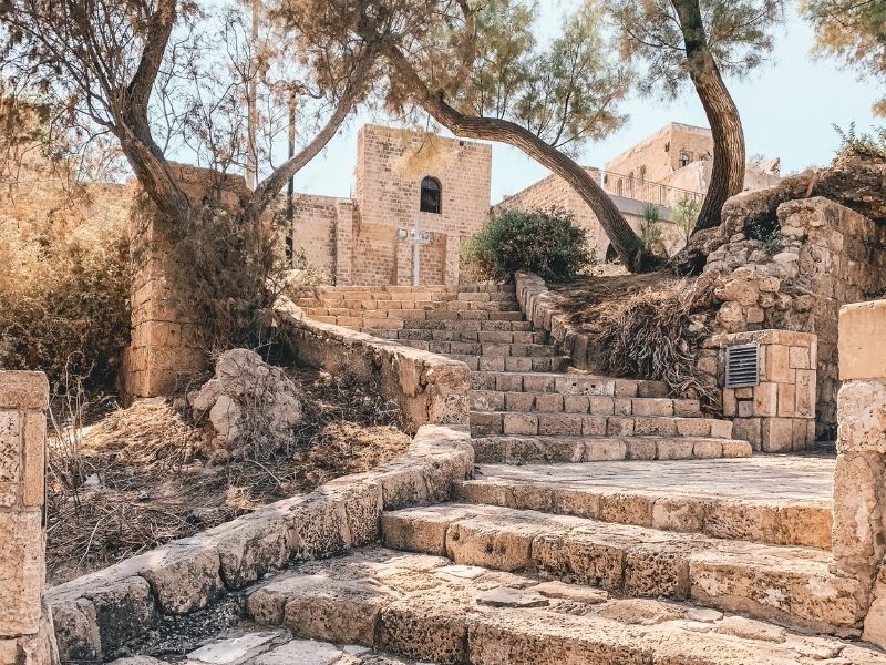 How The Tribe Of Levi Became The Tribe Of Priests | Christian Learning ...