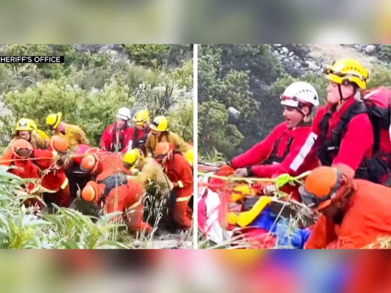 Father And Son Miraculously Survive Falling Off 500 Foot Cliff ...