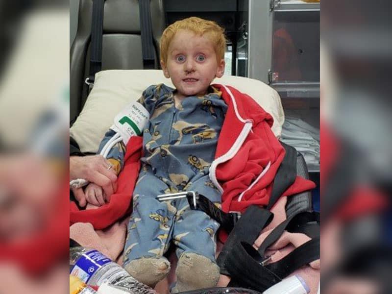 3-Year-Old Lost 3 Days In Woods Alone Full Of Mountain Bears & Lions ...