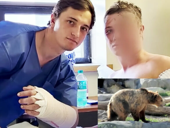 Two College Friends Miraculously Survive Deadly Grizzly Bear Attack In ...