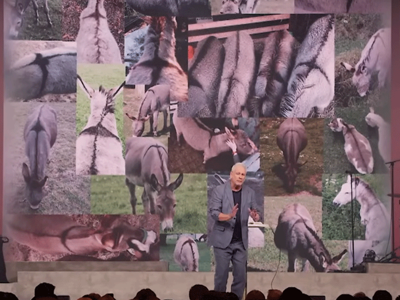 Christian News | Daily Devotional | Holy Bible | Prayer for Today ...